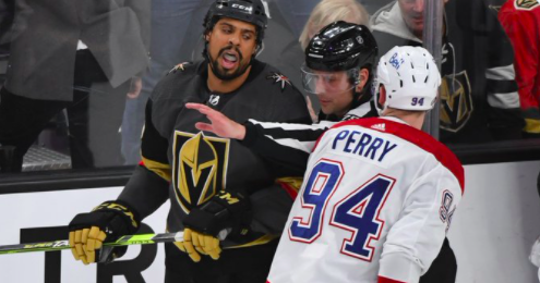 Hockey30 | Ryan Reaves MENACE Corey Perry...